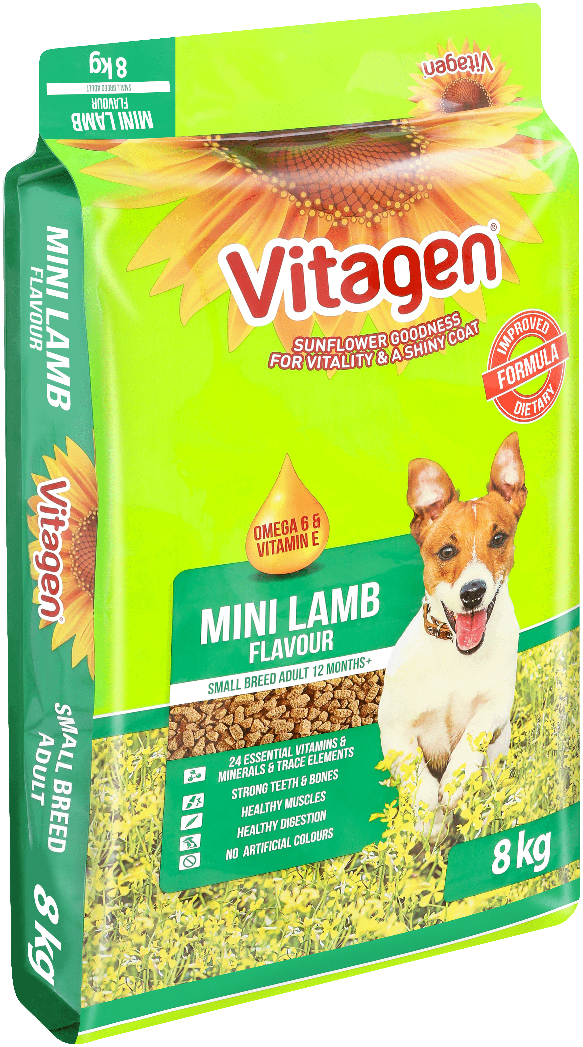 Home - Vitagen2024